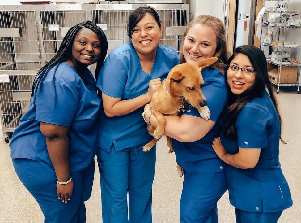 Welcome to Locust Trace Veterinary Clinic!