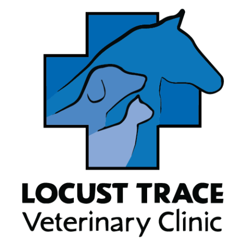 Locust Trace Veterinary Clinic | Veterinarian Lexington, KY